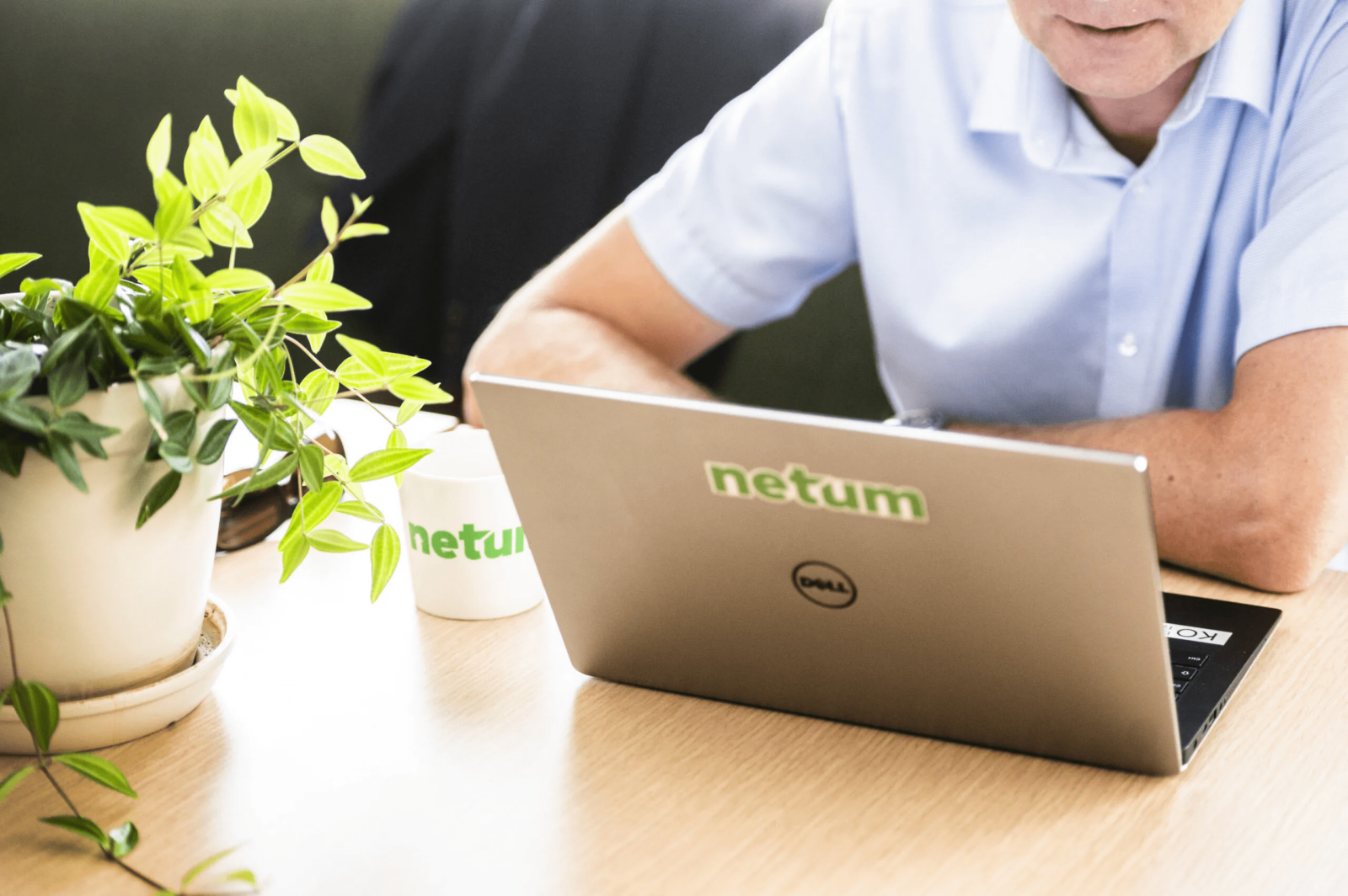 Netum - San Francisco Agency
